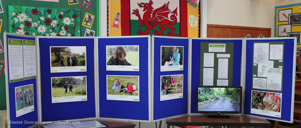 Knelston Project Exhibition – StillWalks