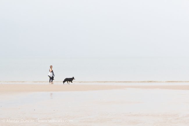 Bleached Beach – StillWalks