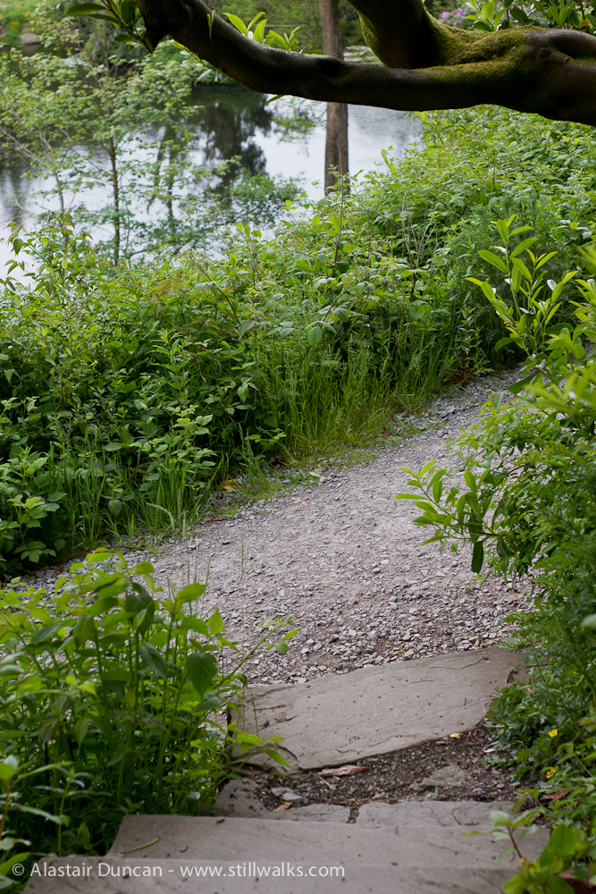 Penllergaer Woods-6 | StillWalks