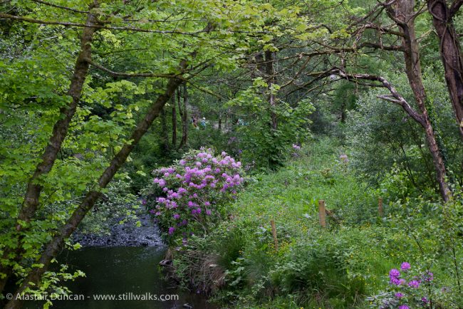 Enjoying the Waterfall – StillWalks