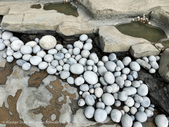 Round Stones in a Sea of Rectangles – StillWalks