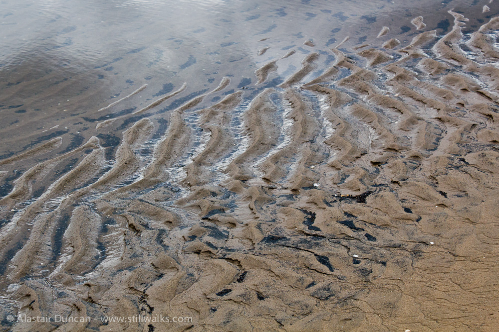 Sand Patterns-16 – StillWalks