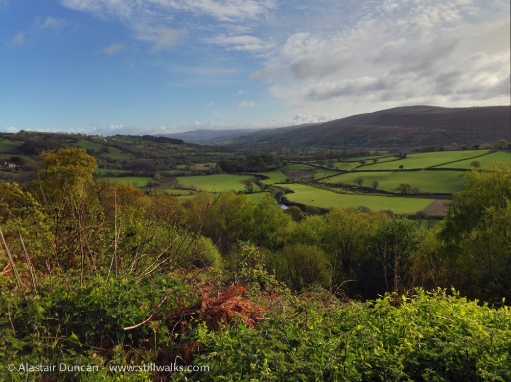 Amman Valley in April – StillWalks