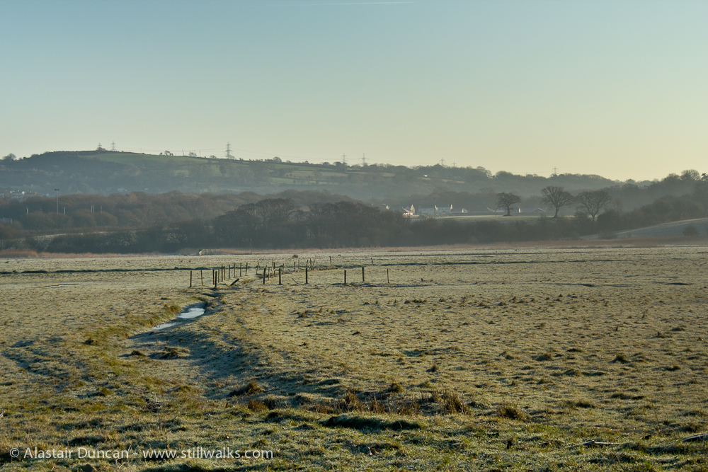 marsh landscape – StillWalks