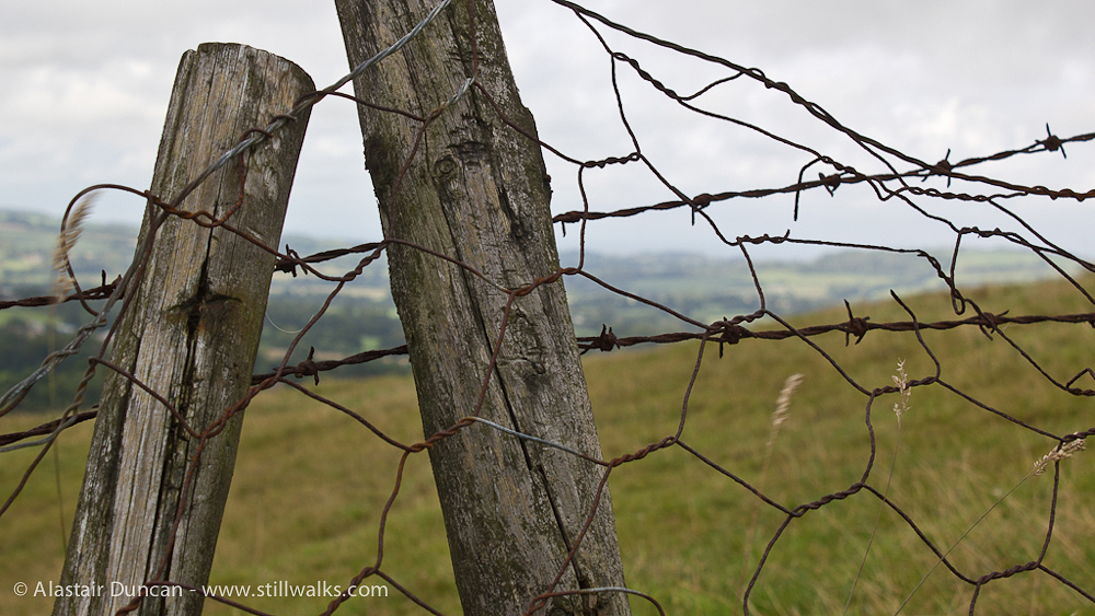 Dorset fence – StillWalks