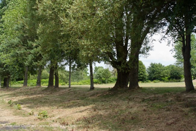 Park and Marshes, Past Walks 6 – Reviewing the walk – StillWalks