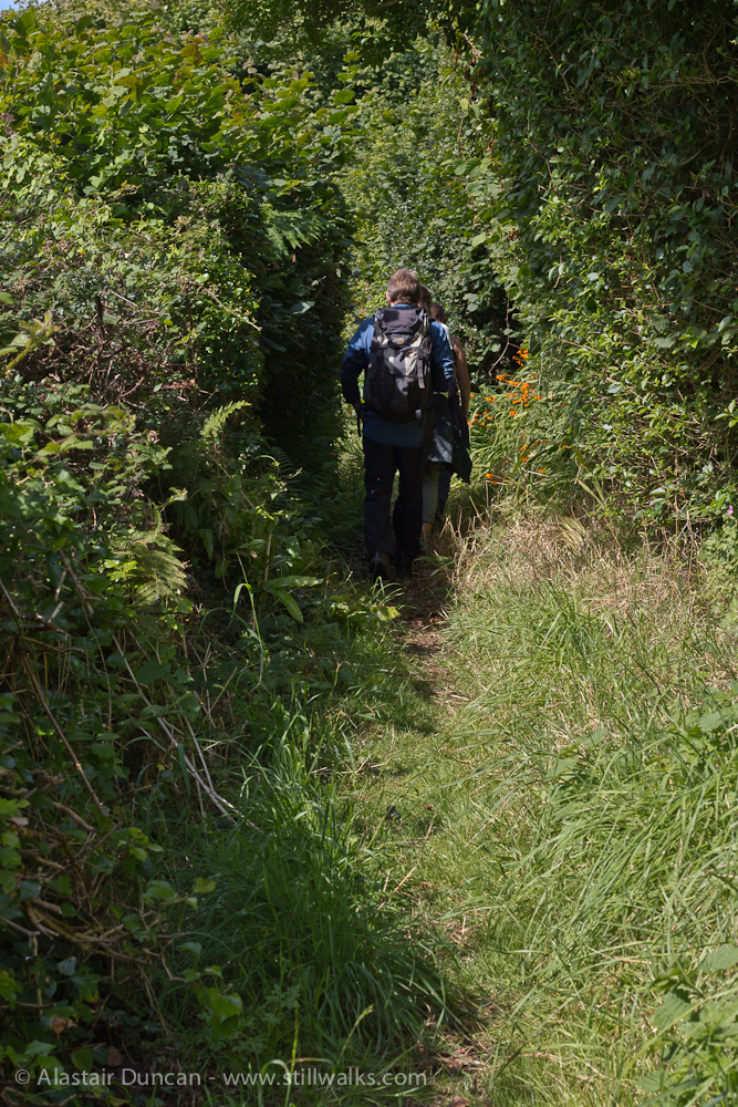 My Walk this Week – Project Recce Walk, Bishopston Valley – StillWalks