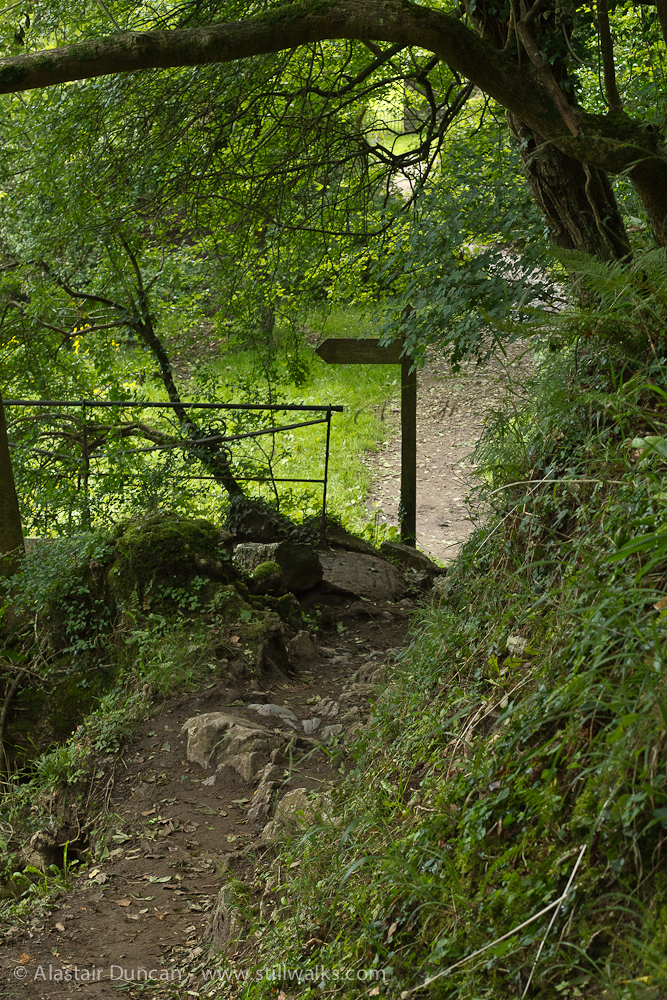 My Walk this Week – Project Recce Walk, Bishopston Valley – StillWalks
