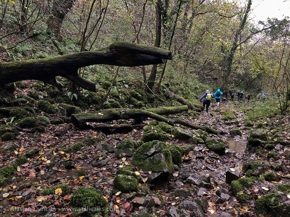 My Walk this Week – Our Gower Project Walk 2, Bishopston Valley ...