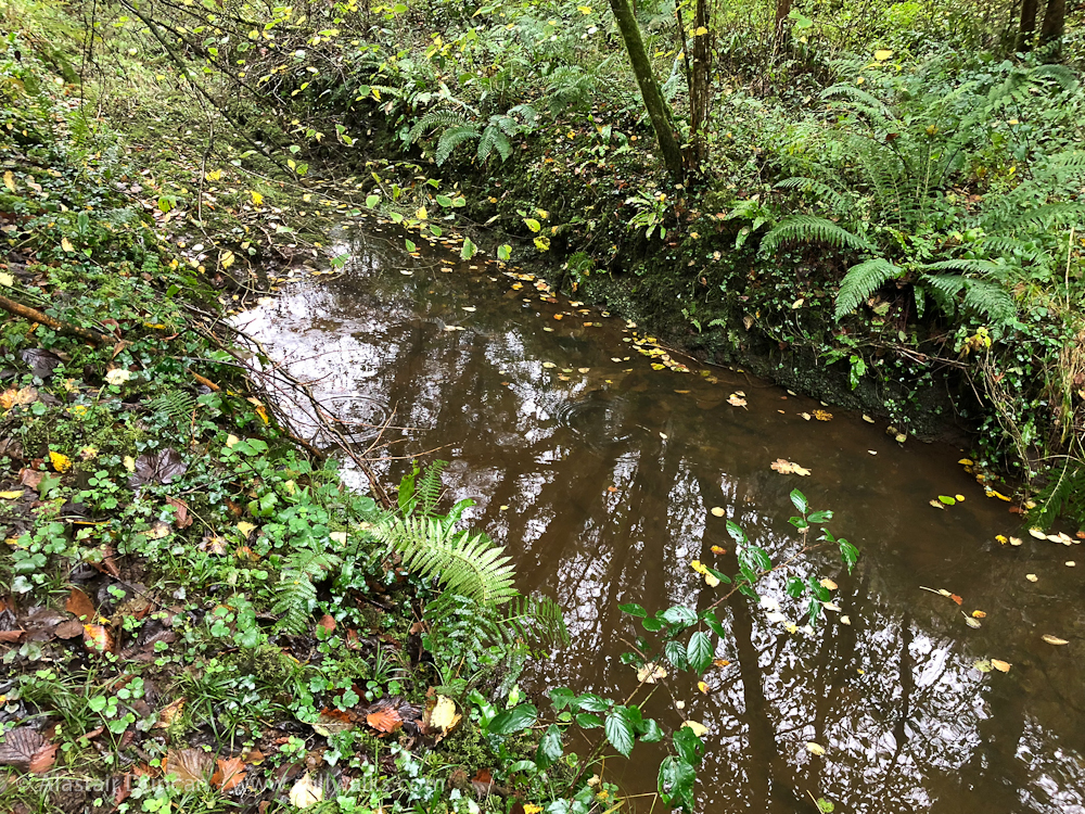 My Walk this Week – Our Gower Project Walk 2, Bishopston Valley ...