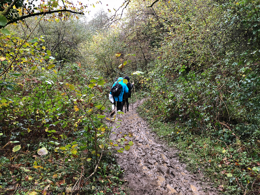 My Walk this Week – Our Gower Project Walk 2, Bishopston Valley ...