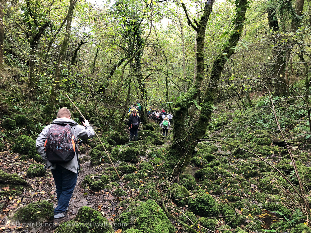 Bishopston Valley Details and No Rain – StillWalks