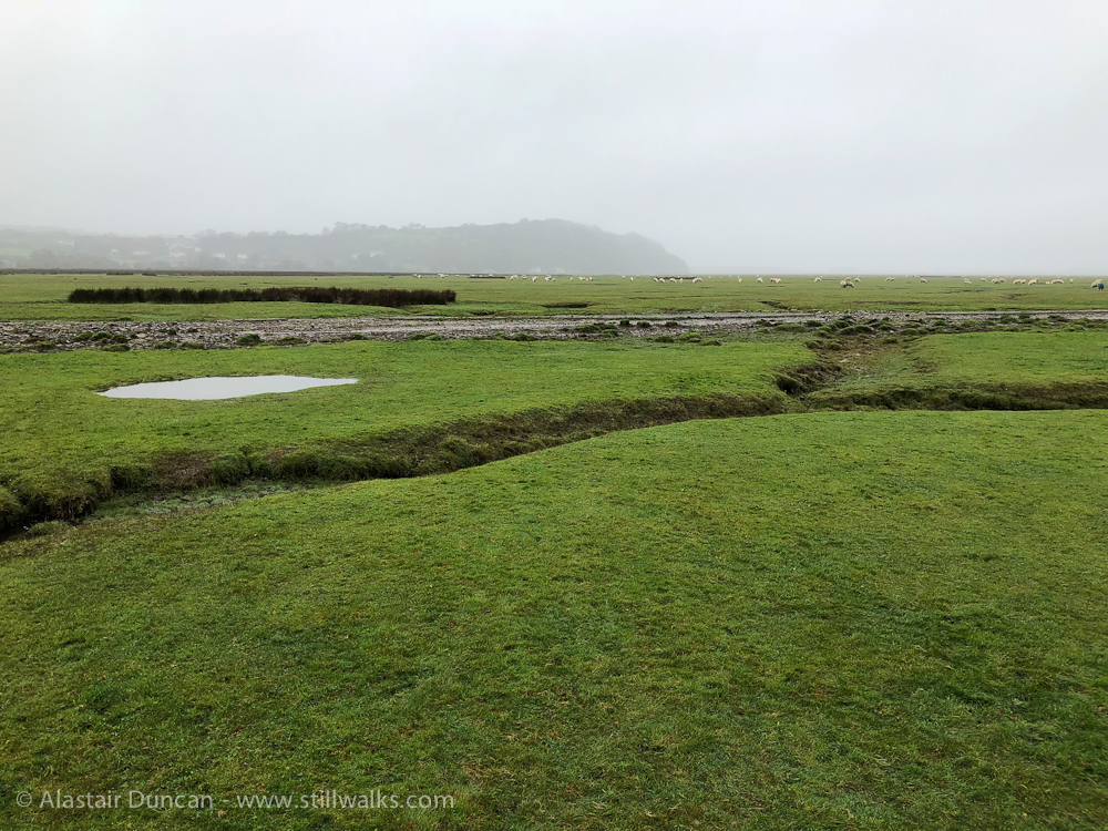 Salt marsh – StillWalks