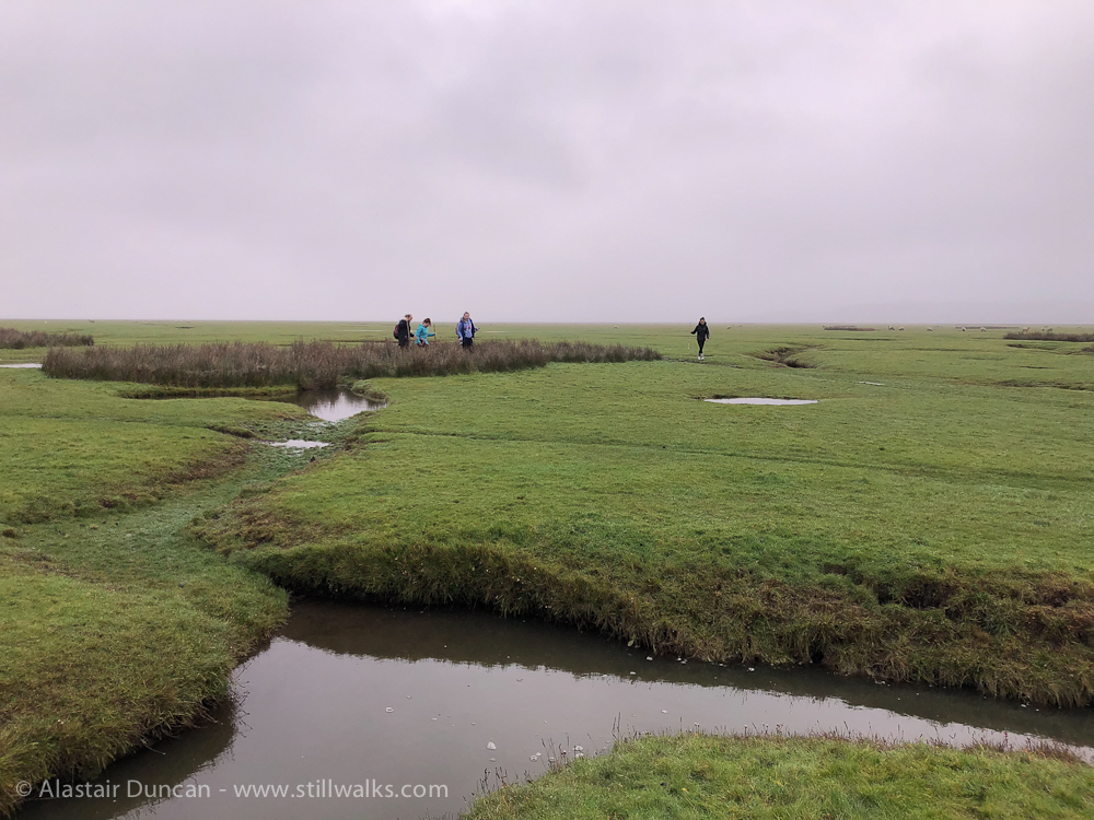 Across the marshes – StillWalks
