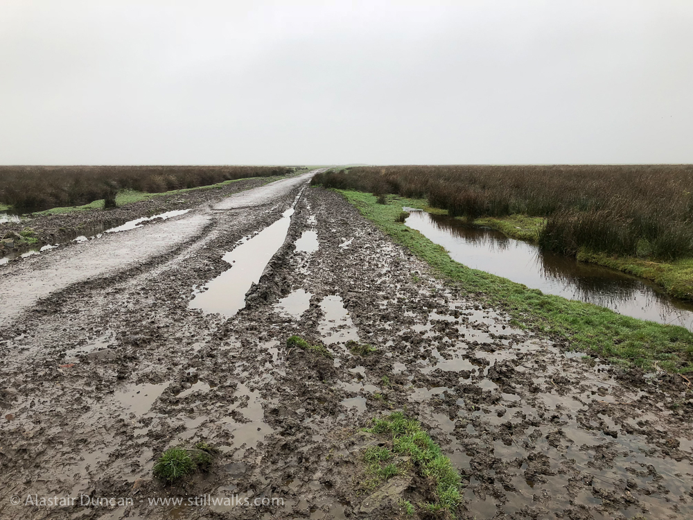 muddy marsh track | StillWalks