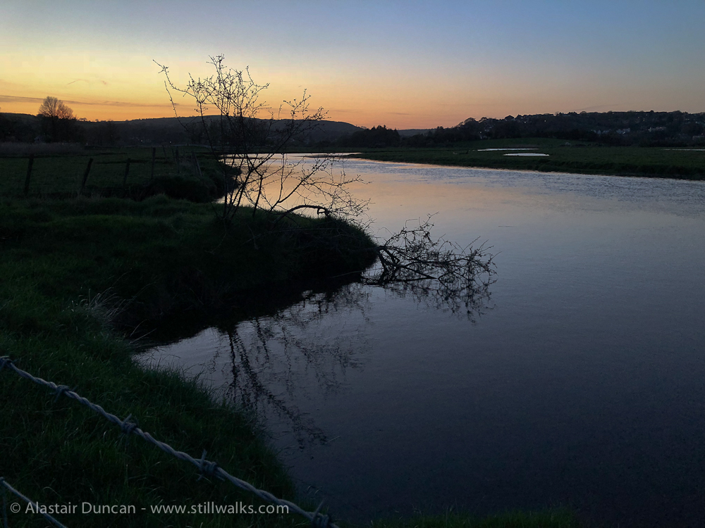 Marsh Evening silhouette – StillWalks