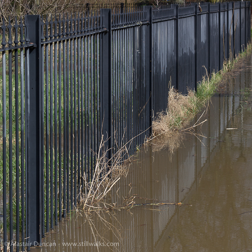 Fence reflection – StillWalks