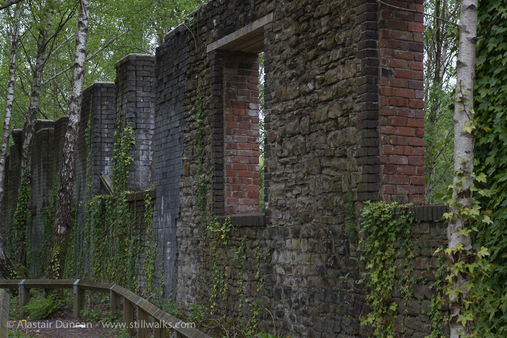 The Nature of Copperopolis – Part 1b – StillWalks