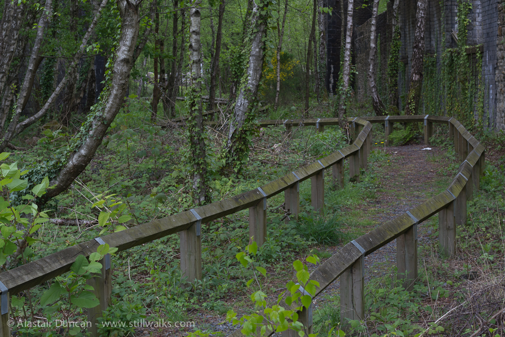 The Nature of Copperopolis – Part 1b – StillWalks