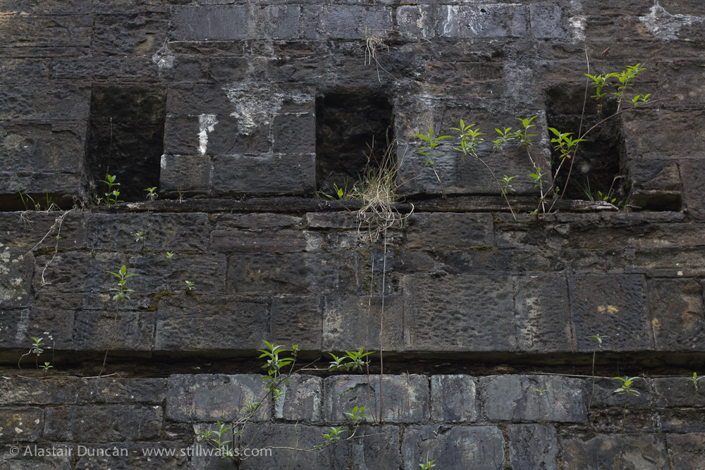 wall recesses – StillWalks