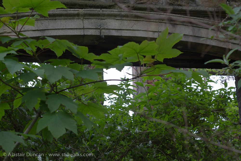 curved lintel in trees – StillWalks