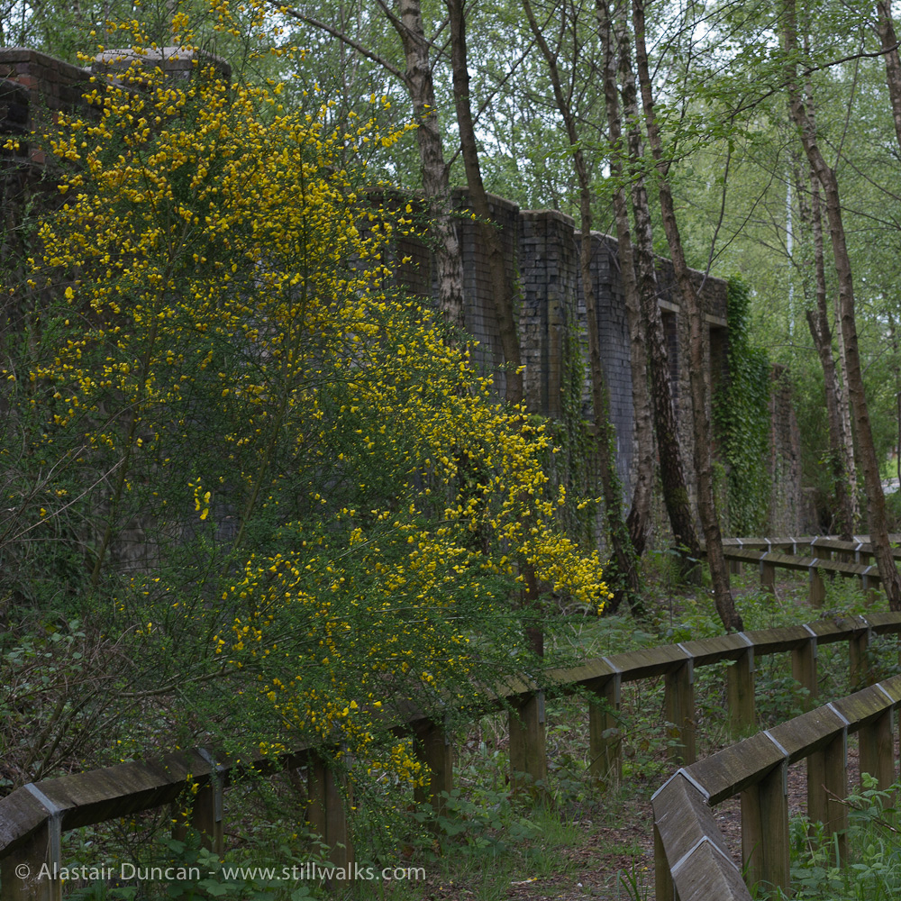 Copperopolis footpath – StillWalks