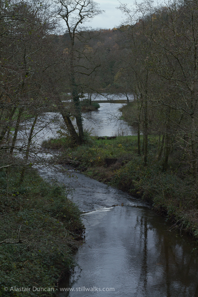 Penllergaer Valley Woods-21 – StillWalks