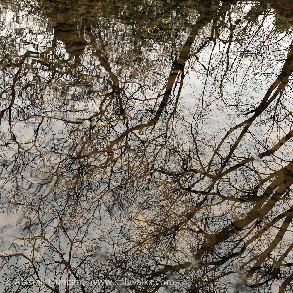 Coedbach Park-12 – StillWalks