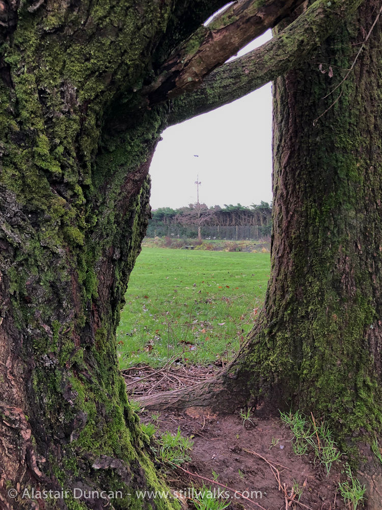 My Walk this Week 139 – Christmas Day Walk – StillWalks