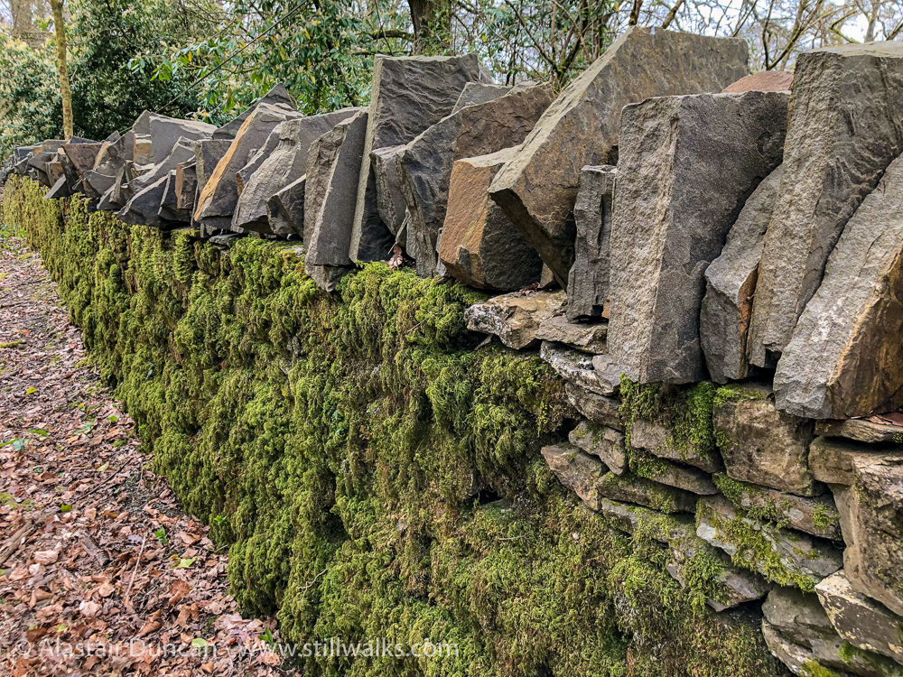 My Walk this Week 154 – Golden Grove, Gelli Aur – StillWalks