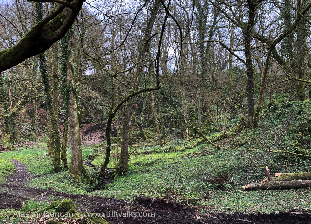 My Walk this Week 154 – Golden Grove, Gelli Aur – StillWalks