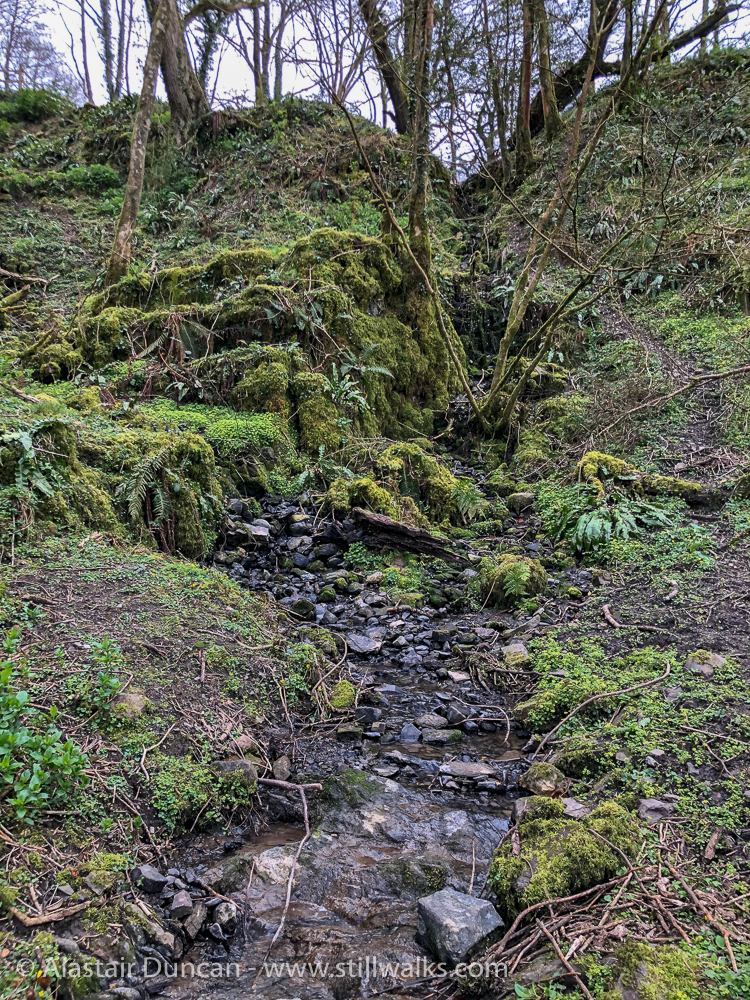 My Walk this Week 154 – Golden Grove, Gelli Aur – StillWalks