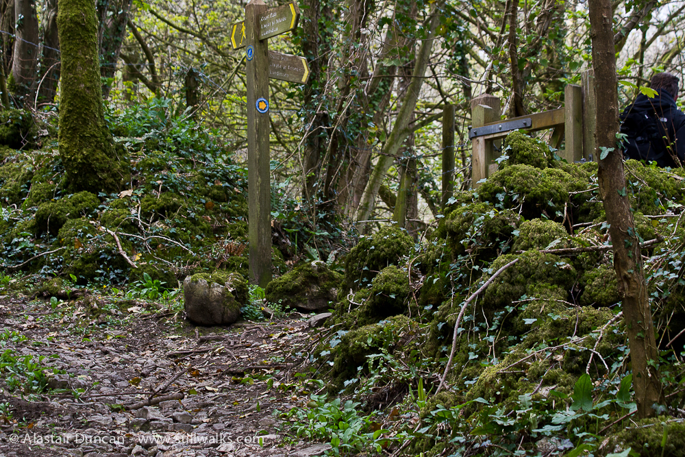 North Gower Walk-14 – StillWalks