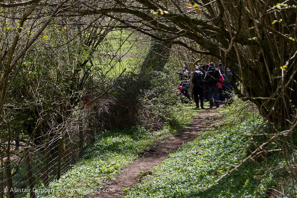North Gower Walk-8 – StillWalks