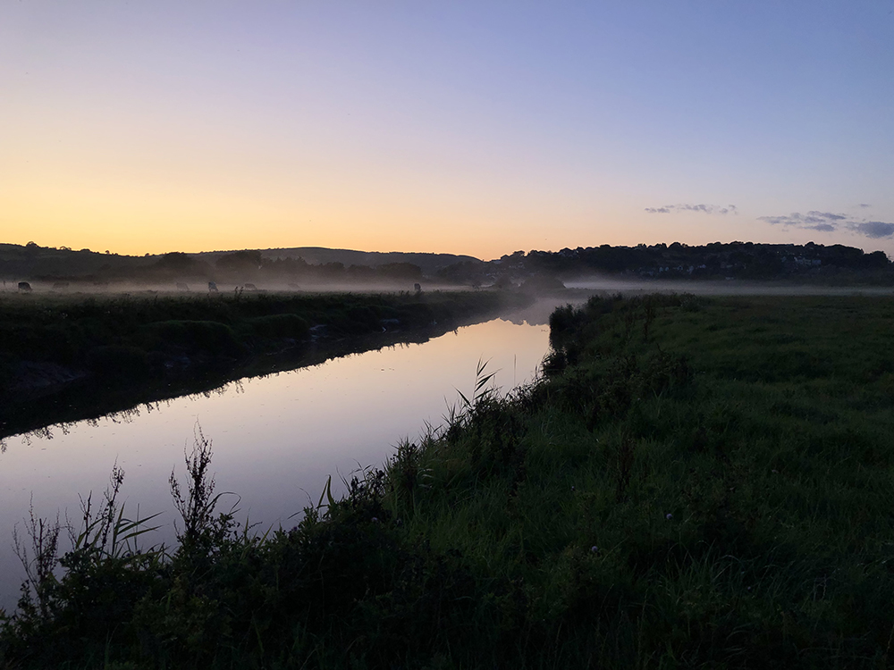 Mist on the marsh 2 – StillWalks