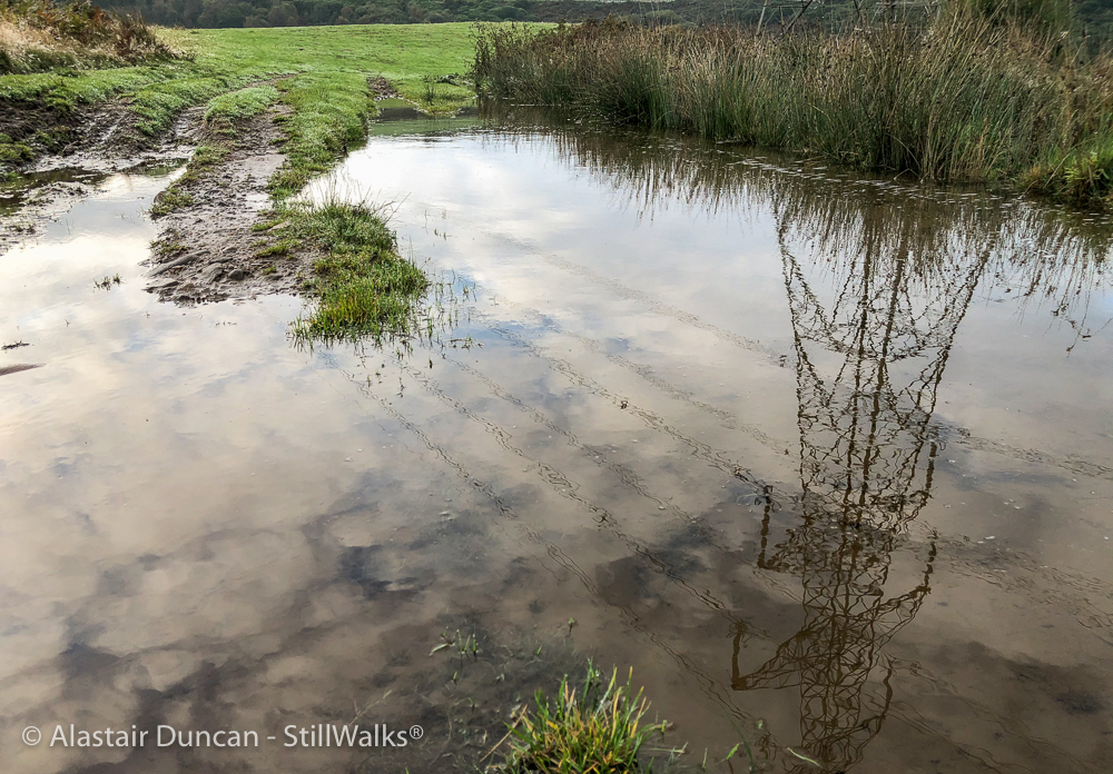 reflective puddle – StillWalks