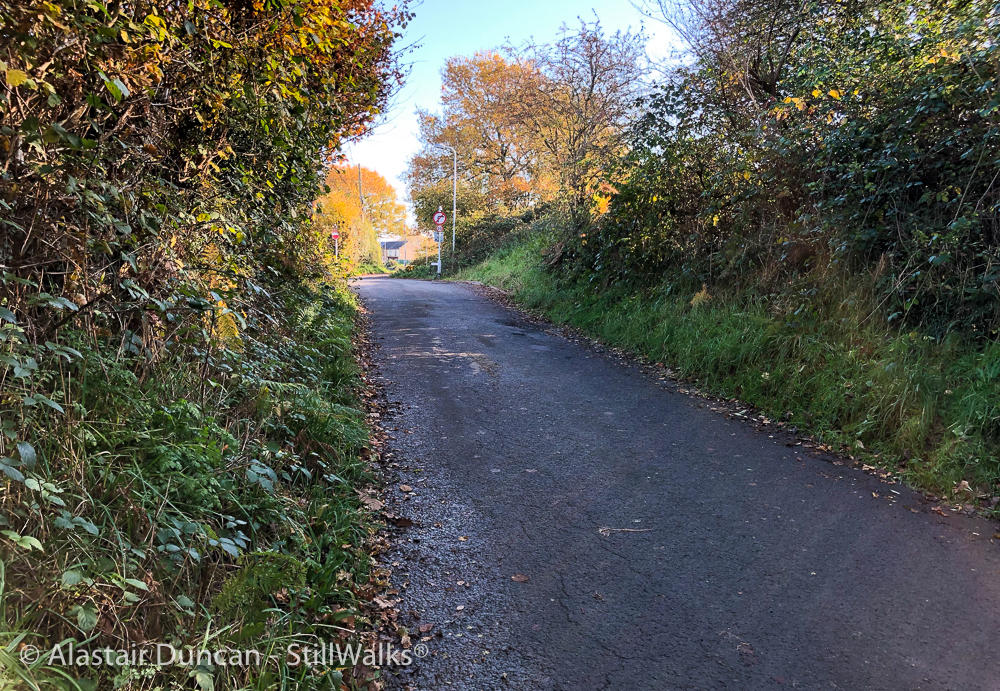 My Walk this Week 181 – Natural Benefits – StillWalks