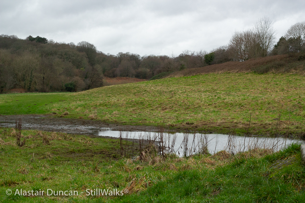 My Walk this Week 190 – River Ely | StillWalks