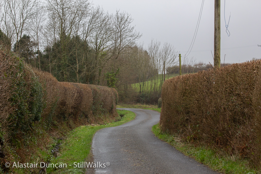 My Walk this Week 193 – Estuary Atmosphere – StillWalks