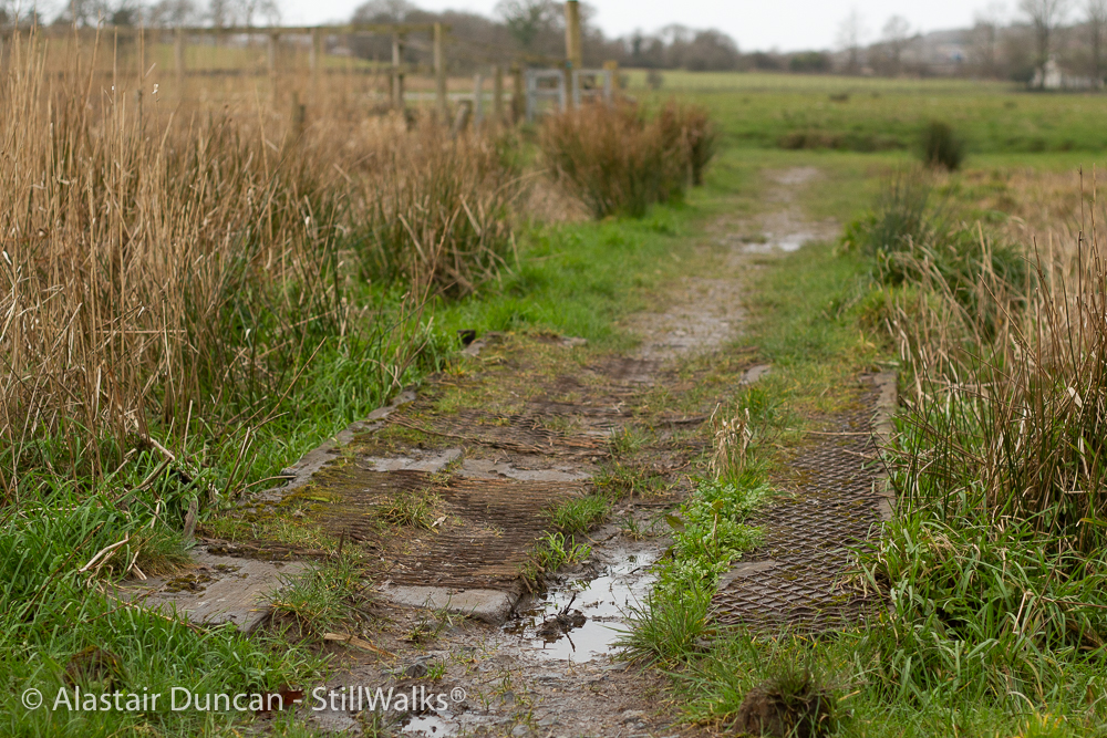 footbridges – StillWalks