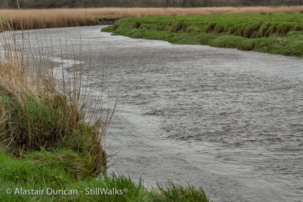 River Loughor – StillWalks
