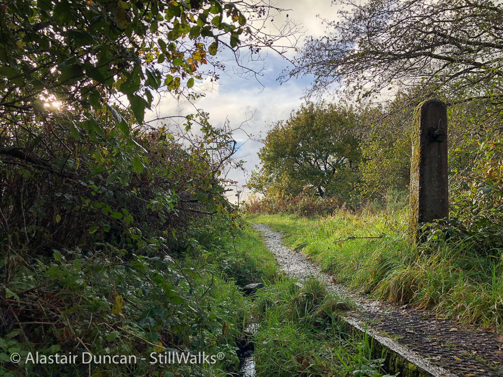 My Walk this Week 230 – Disregarding the Weather – StillWalks