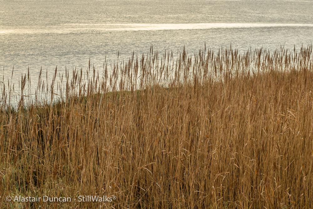 Coastal Walk Bynea-13 – StillWalks