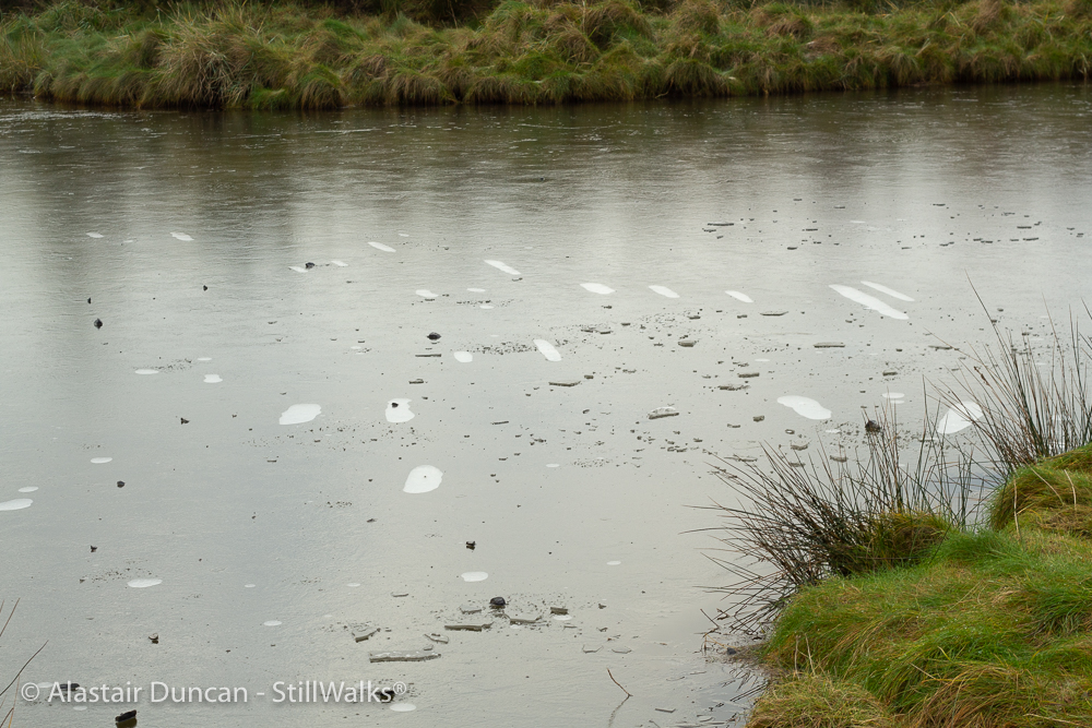 Coastal Walk Bynea-16 | StillWalks