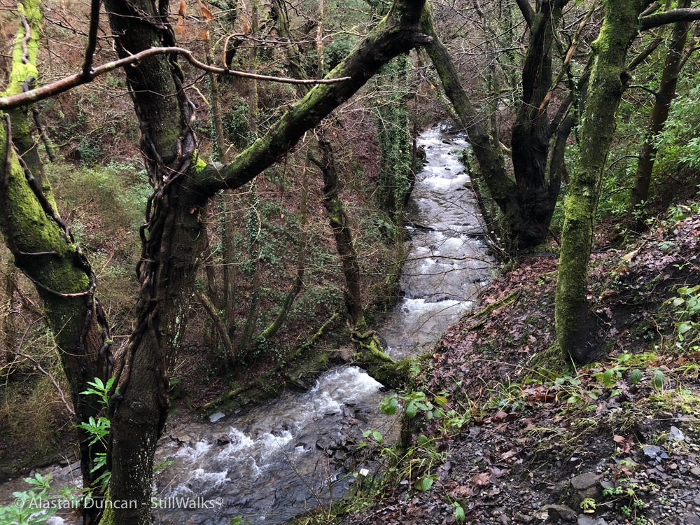 My Walk this Week 245 – Dulais River – StillWalks