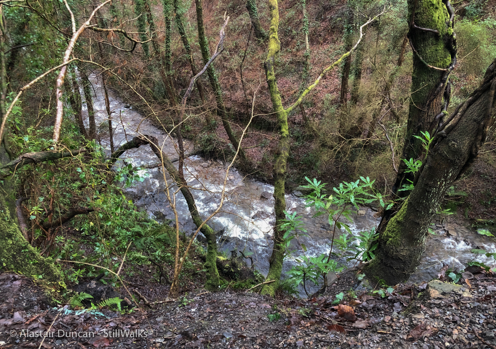 My Walk this Week 245 – Dulais River – StillWalks