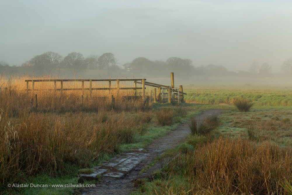 salt marsh footbridge – StillWalks