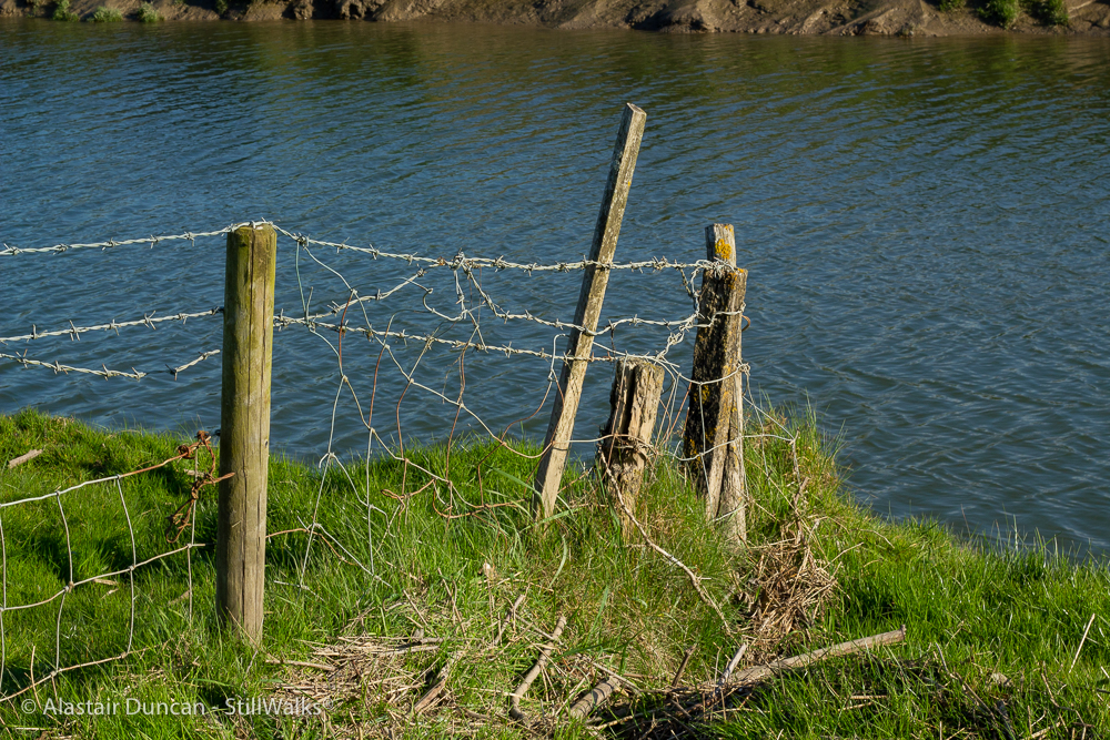 There was a crooked fence – StillWalks